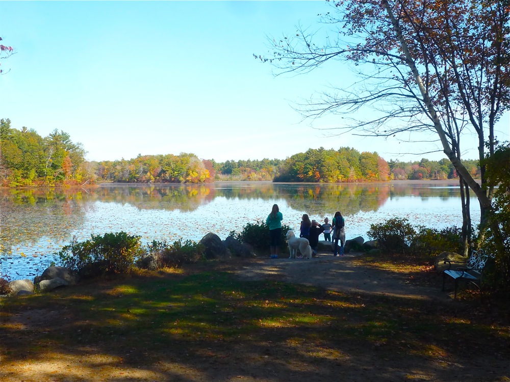 Enjoy These 6 Beautiful Walks Near Boston - The Cheap New England ...